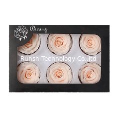 2020 New Preserved Rose 5-6cm Real Rose That Last A Year For Valentines Day  girlfriend gift supplier