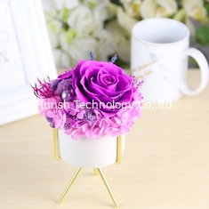 New Arrival preserved flowers ornament luxury immortal rose gift for teacher/friend supplier