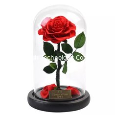 Luxury DIY Gift Preserved Rose In Forbidedden Glass Dome Long Lasting Beauty And The Beast Rose supplier