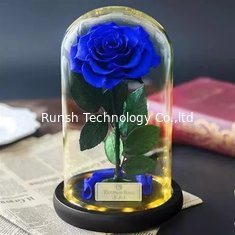 Luxury DIY Gift Preserved Rose In Forbidedden Glass Dome Long Lasting Beauty And The Beast Rose supplier