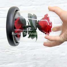 Wholesale long stem preserved roses in glass dome rose gift Real Preserved Rose In Glass That Last 3 Years supplier