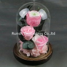 Beautiful Preserved Rose in Glass Dome enchanted roses arrangement for lover supplier
