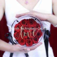 Preserved Rose Flower Eternal Rose in Transparent Round Acrylic Box for Love Valentine's Day Girls Birthday Long Lasting supplier