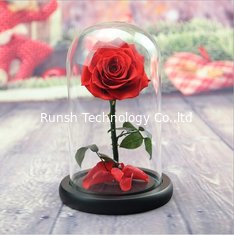 beauty and the beast roses preserved roses in glass dome rose for lover's gift supplier