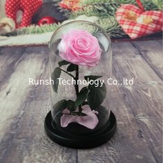 Forever Real Rose Everlasting Flower Preserved Fresh Flower Live Enchanted Rose in Glass Dome Cover with Gift Box supplier