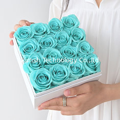 Customized Square Gift Boxes Preserved Roses In Box With Acrylic Cover supplier