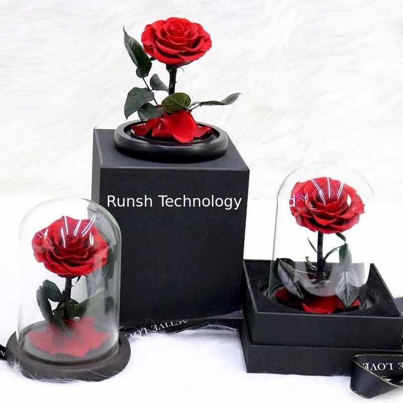 Wholesale long stem preserved roses in glass dome rose gift Real Preserved Rose In Glass That Last 3 Years supplier